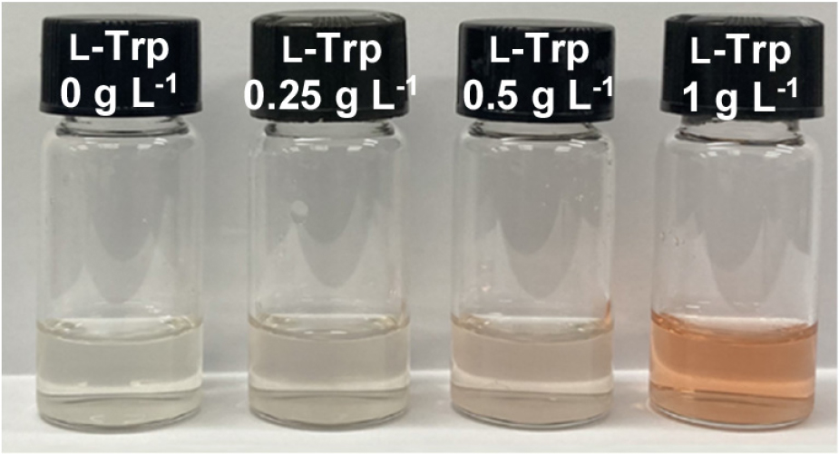 Growth Enhancement of Tomato by a Plant Growth Promoting Bacterium ...
